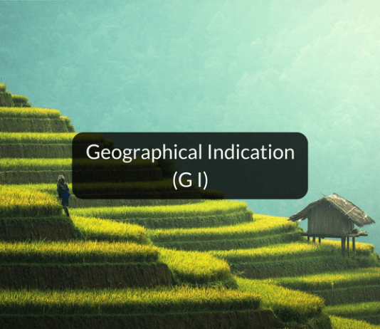 Intellectual Property Law Archives - iPleaders