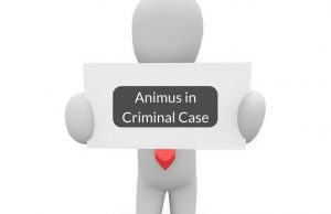 What Is Animus And Why Is It Important In A Criminal Case