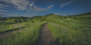 All you need to know about Patta and Patta Land in India