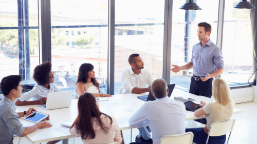 Directors in Company Law