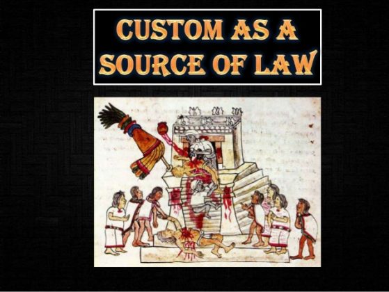 Customs as a Source of Law - Jurisprudence : iPleaders Blog