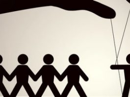 Cartel Archives - iPleaders