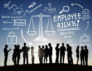 Labour Laws in India : Everything you need to know