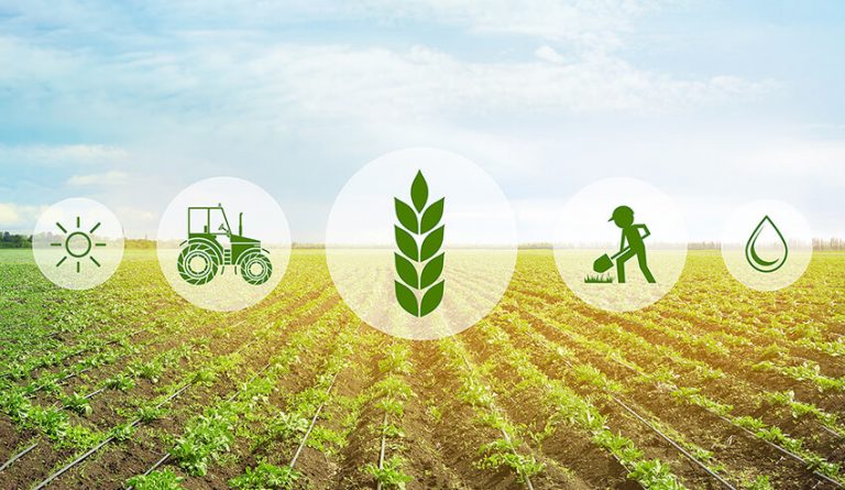 Agriculture and economic development - iPleaders