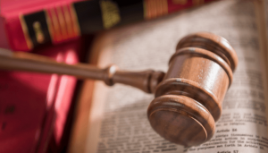 Judicial review - iPleaders