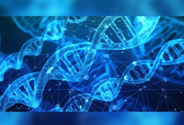 Importance of DNA forensics in criminal investigation and trials ...