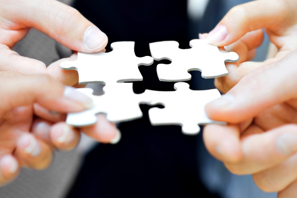 MA-Puzzle - iPleaders