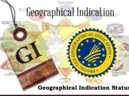 Geographical Indication Archives - iPleaders