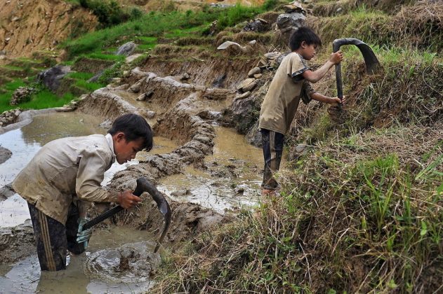 Child labour in third world countries - iPleaders