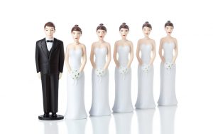 What is polygamy - iPleaders