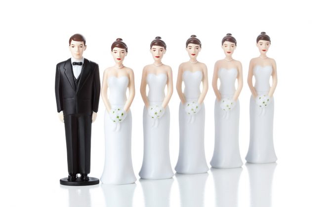 What is polygamy - iPleaders